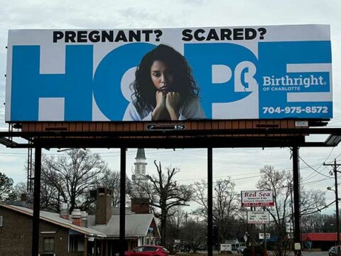 About Birthright of Charlotte - Birthright of Charlotte